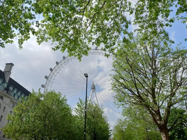 Cleaning Services in South Bank SE1 | LitMex